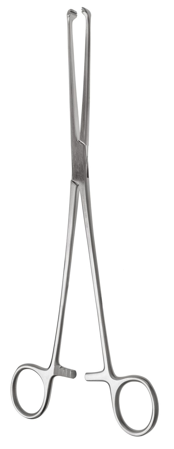 Allis Tissue Forceps 10" atraumatic teeth - gSource
