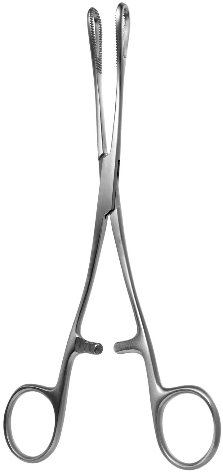 Rampley Sponge Forceps 10" straight serrated - gSource
