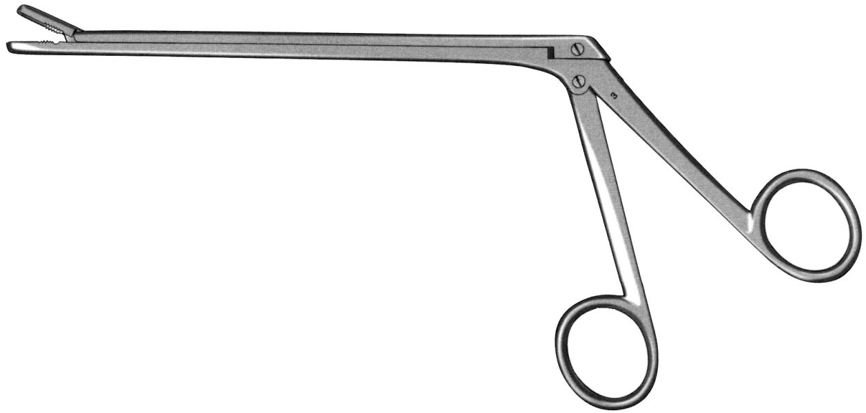 Caspar IVD (Intervertebral Disc) Rongeur 6" straight fenestrated 2x12mm ...