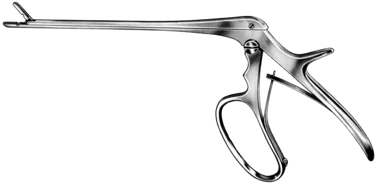 Ferris Smith IVD (Intervertebral Disc) Rongeur 7" straight 4x10mm - gSource